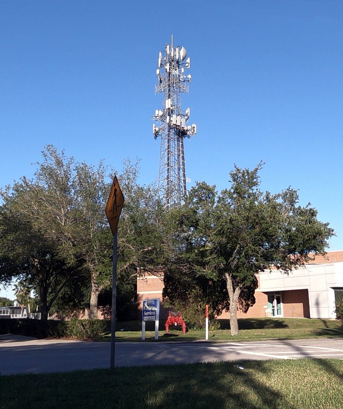 5G Cell Tower by Hana Chramostova. Free pictures.